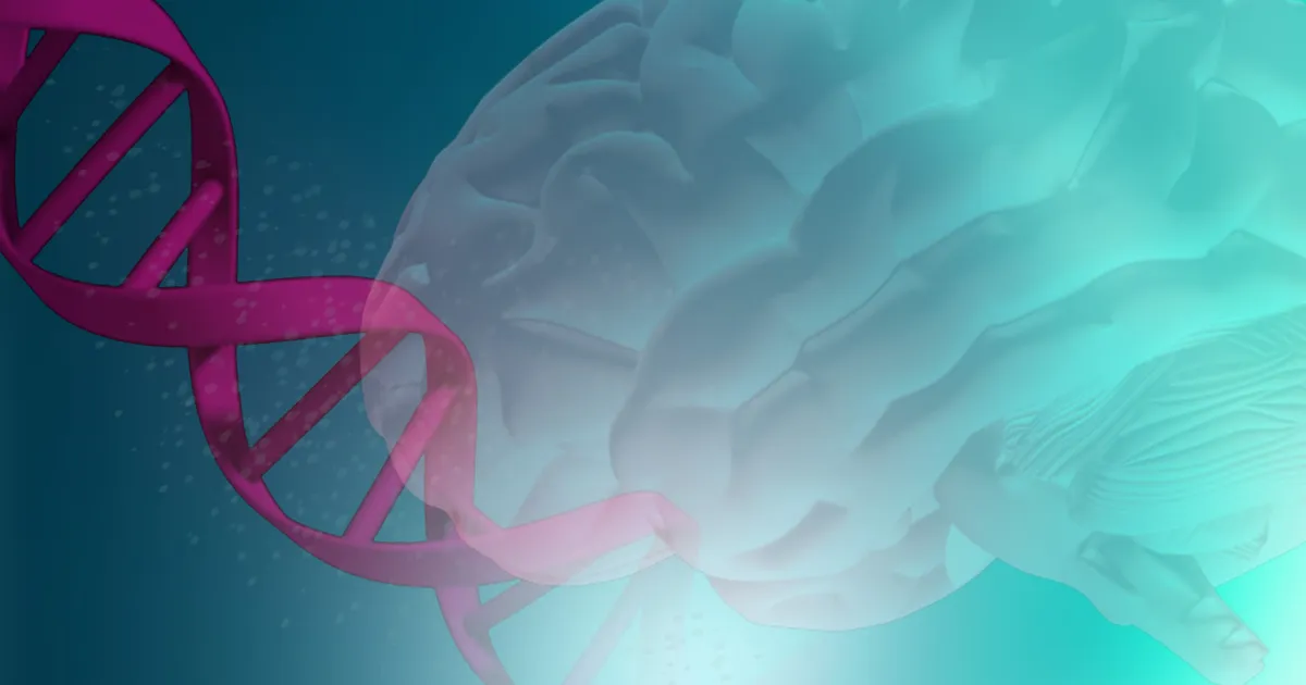 The Neurogenetics and Dementia Research Group
