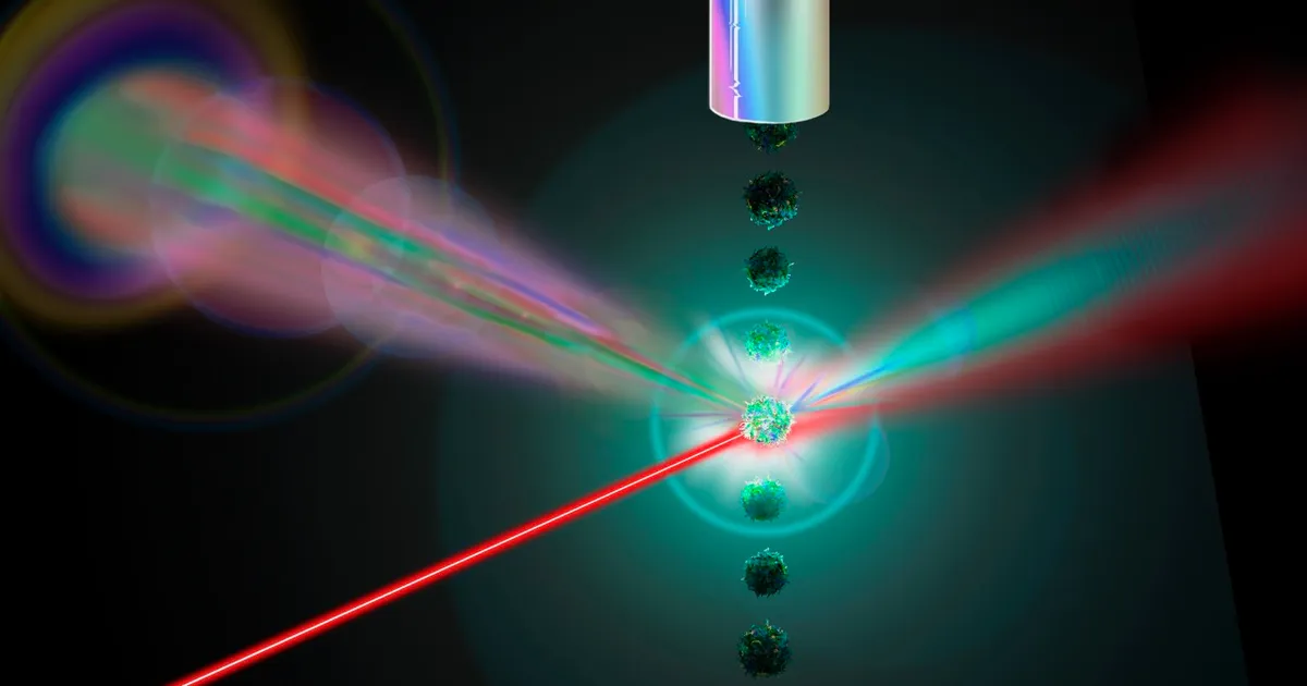 Flow Cytometry and Imaging Facility