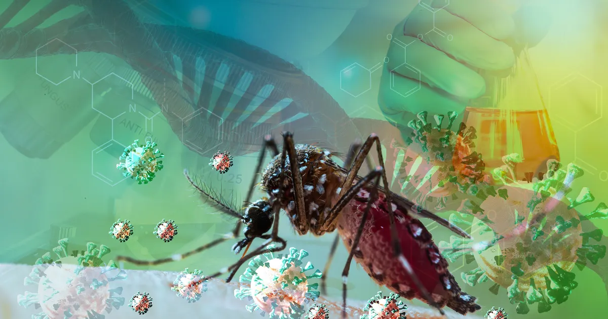 Global Health and Tropical Medicine