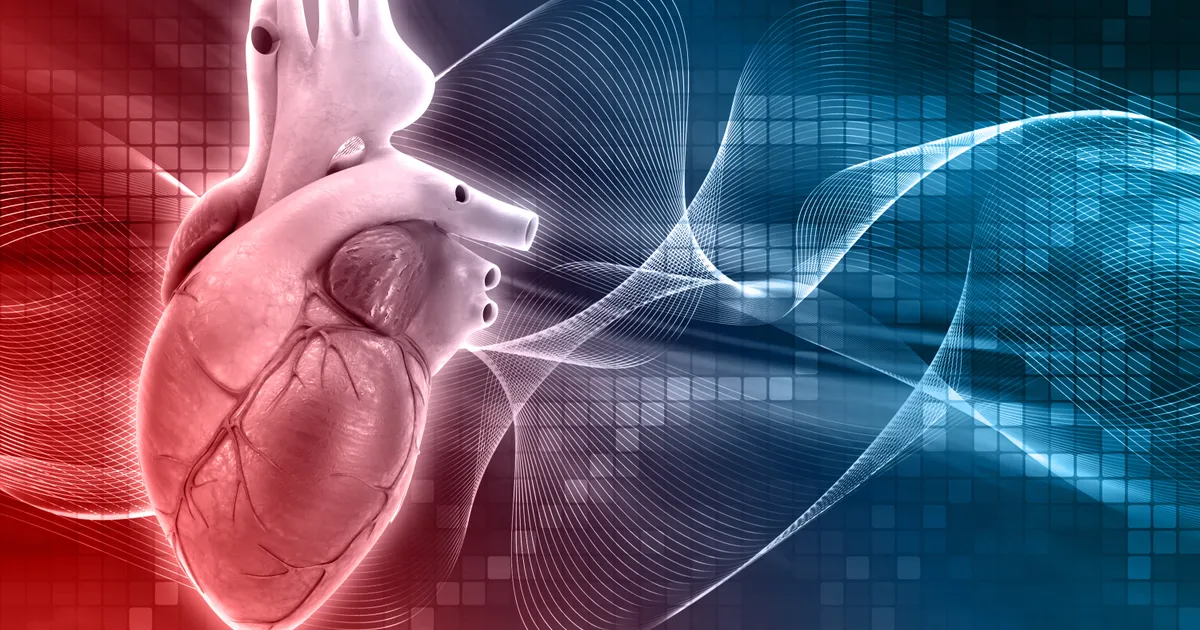 Cardiac Drug Discovery Laboratory