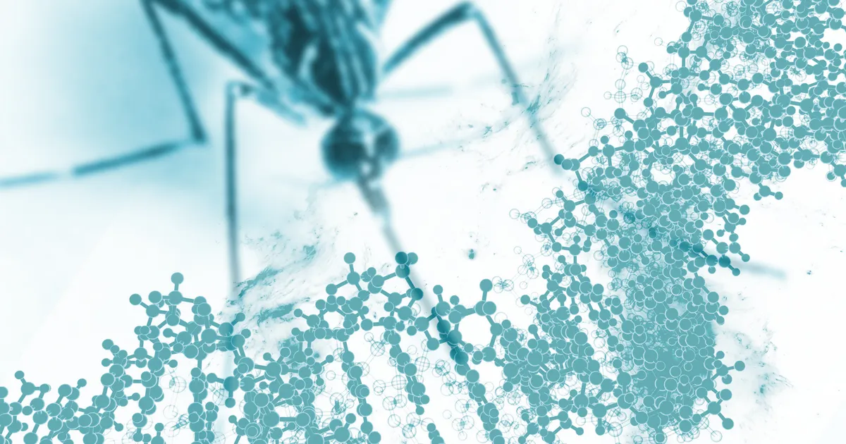 The Mosquito Genomics Laboratory
